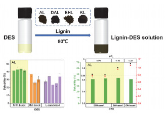 Biomass-based Acidic Deep Eutectic Solvents for Efficient Dissolution of Lignin: Towards ...