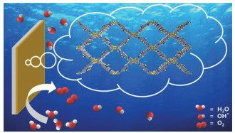 基于四硫富瓦烯的无金属共价有机框架材料用于高效电催化析氧反应